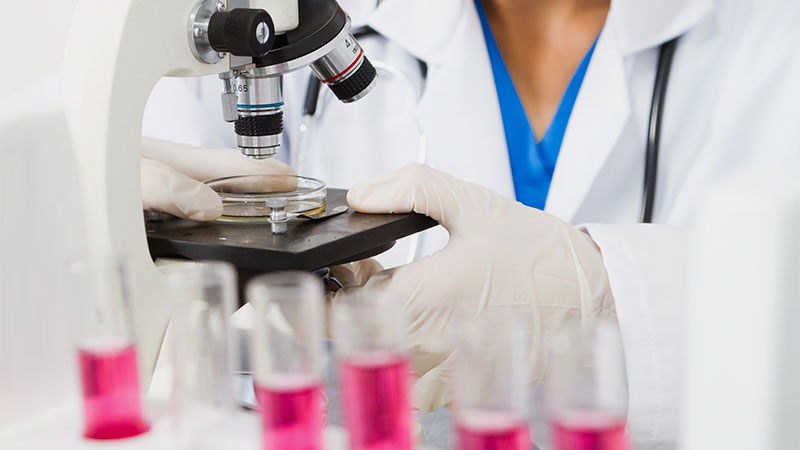 Medical Laboratory - IRM Hospital